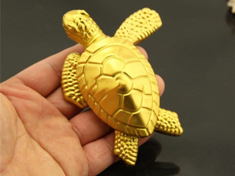 Stunning Golden Turtle Images