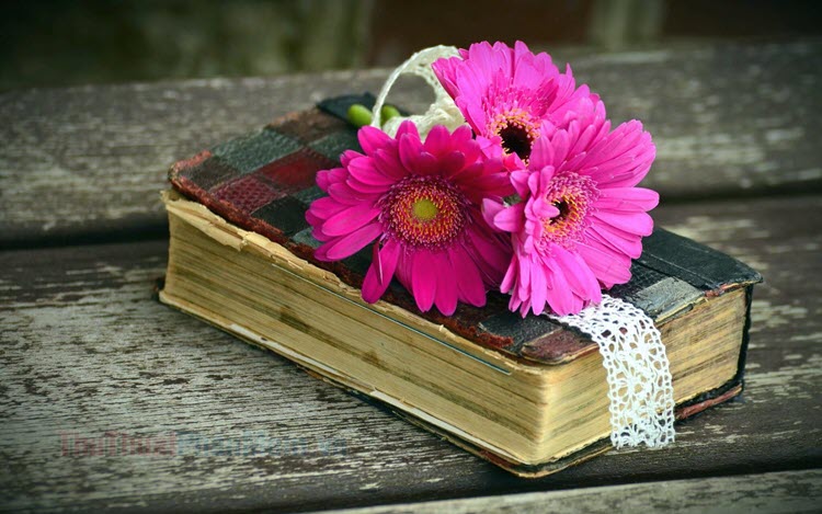 Captivating Images of Beautiful Books