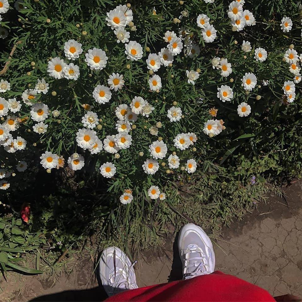 The Most Beautiful and Stylish Flower Chill Photos