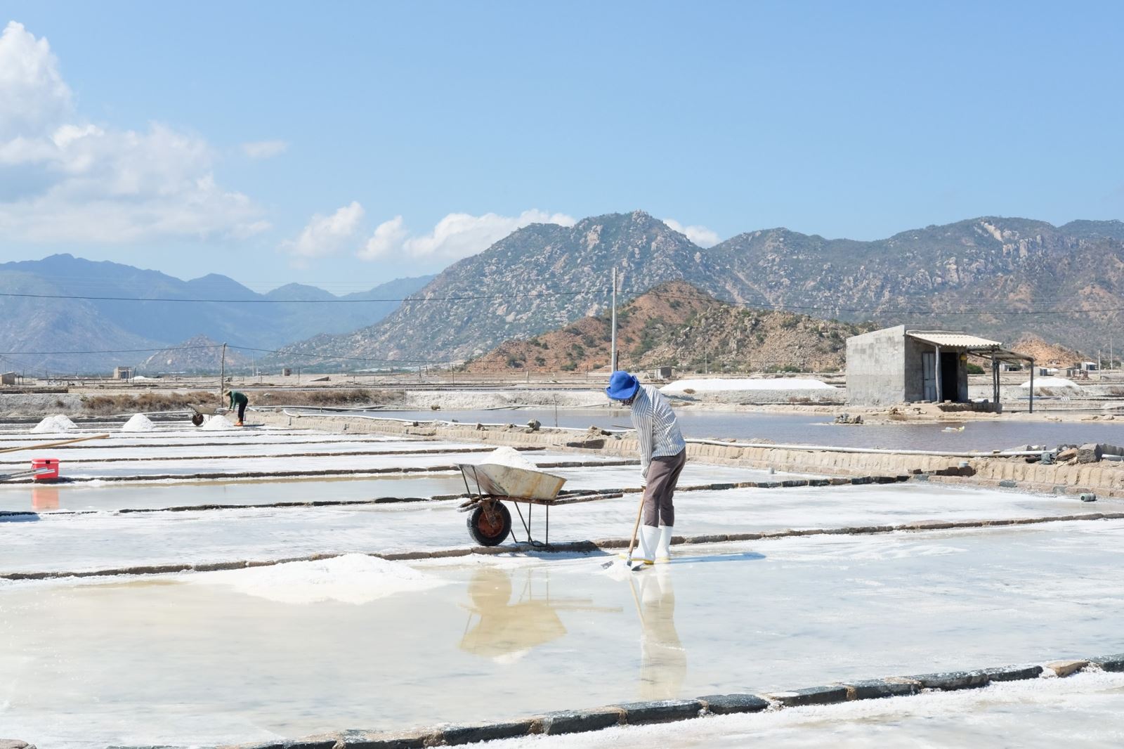 Beautiful Salt Field Images