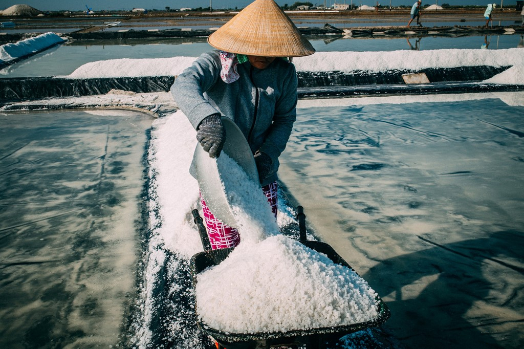Beautiful Salt Field Images