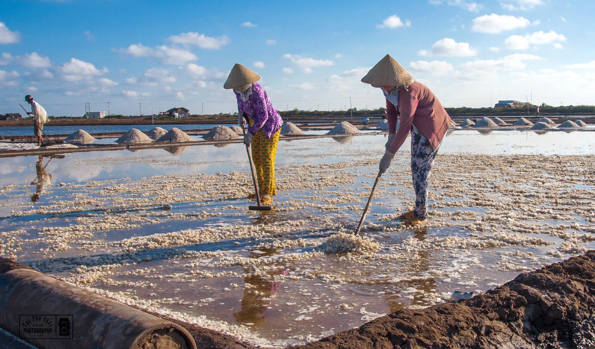 Beautiful Salt Field Images