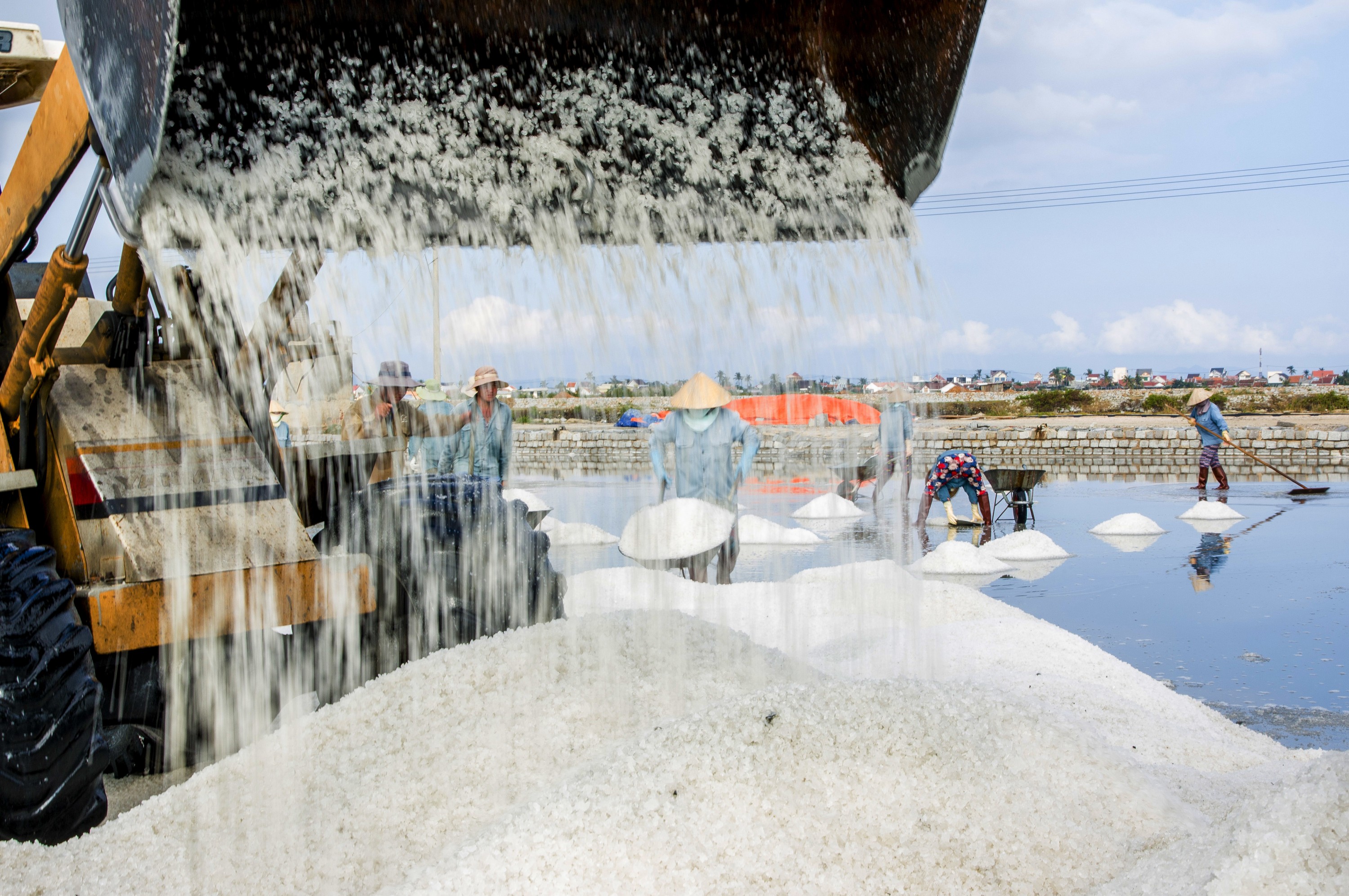 Beautiful Salt Field Images