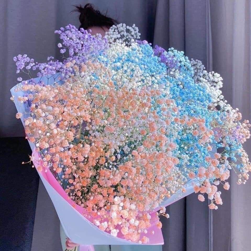 The Most Beautiful and Stylish Flower Chill Photos