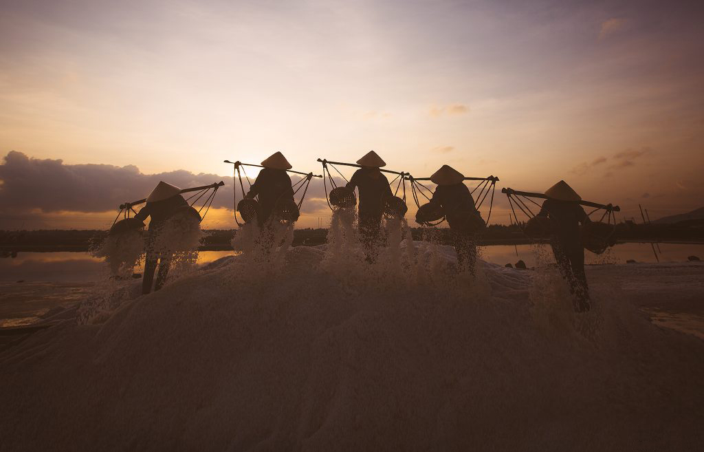 Beautiful Salt Field Images