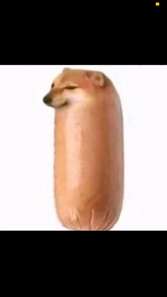 Compilation of 100+ hilarious Cheems memes