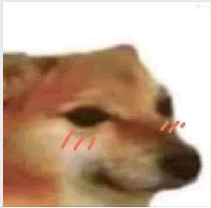 Compilation of 100+ hilarious Cheems memes