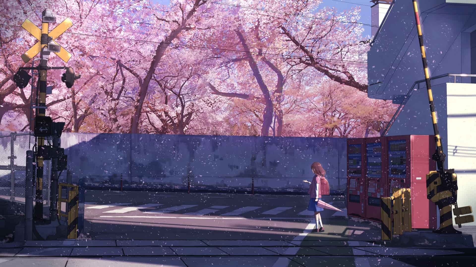 Discover the Most Beautiful Chill Anime Images