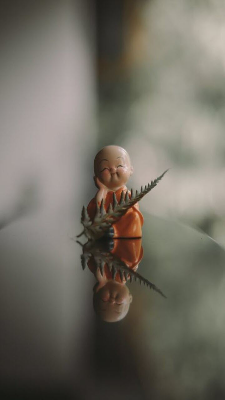 Compilation of charming little guy wallpapers