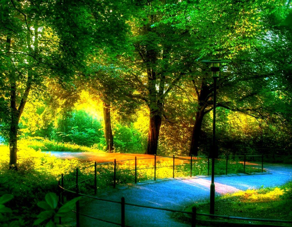 Stunning 3D Landscape Backgrounds