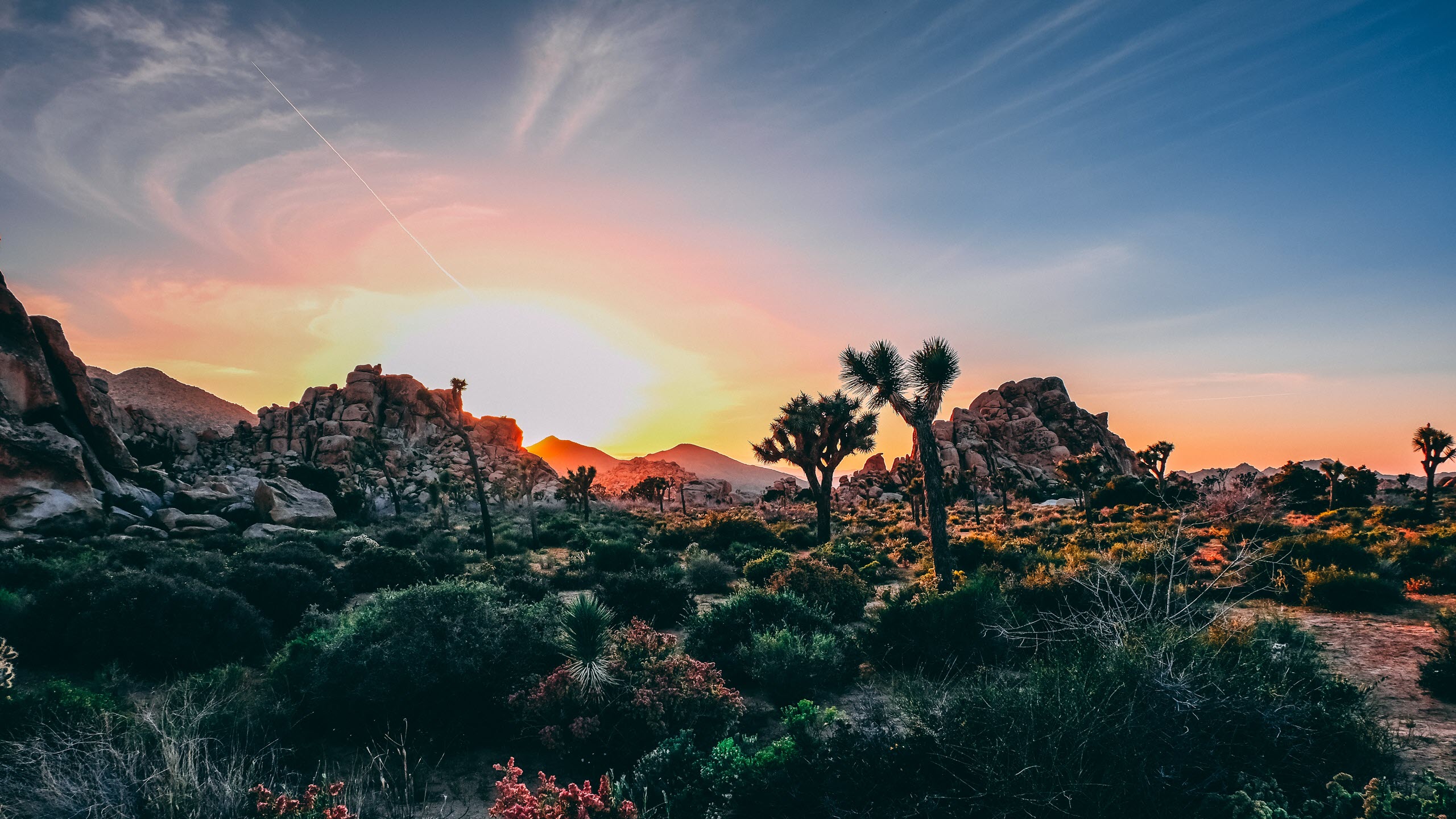 Exquisite Sunset Backgrounds