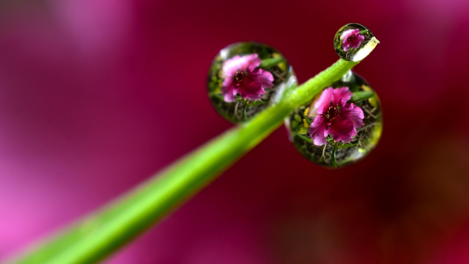 Explore Mesmerizing 3D Water Droplet Wallpapers