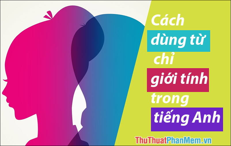 Understanding Male and Female: Exploring Gender Terms in English