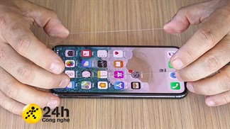 Unveiling the Differences Between Tempered Glass and Screen Protectors