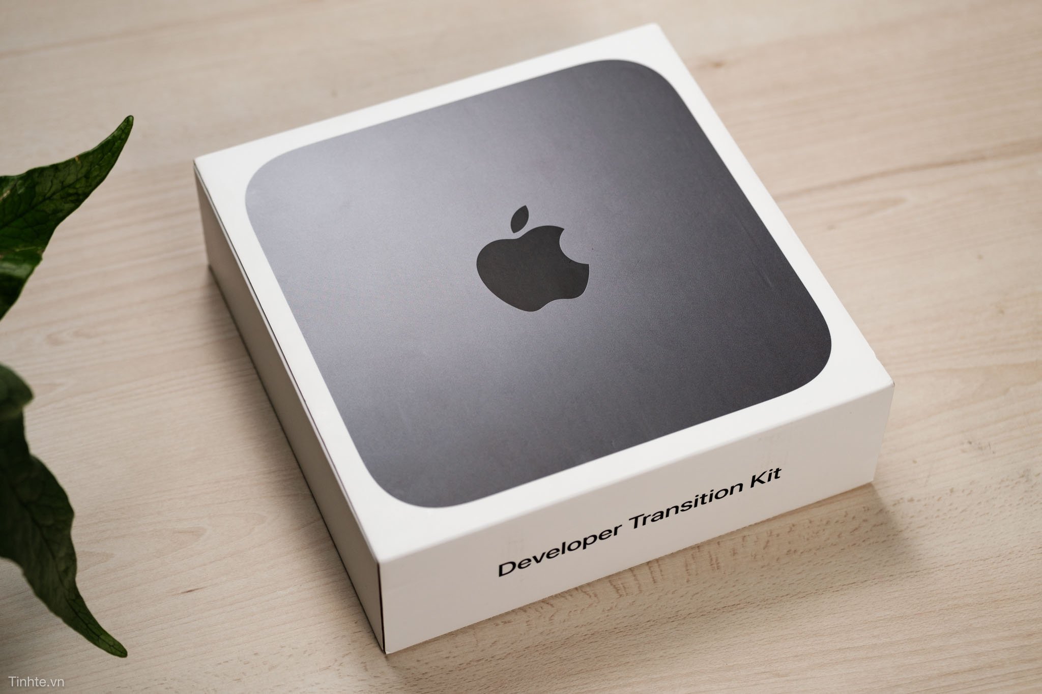 Trải nghiệm Mac mini sử dụng chip A12Z với hệ điều hành macOS