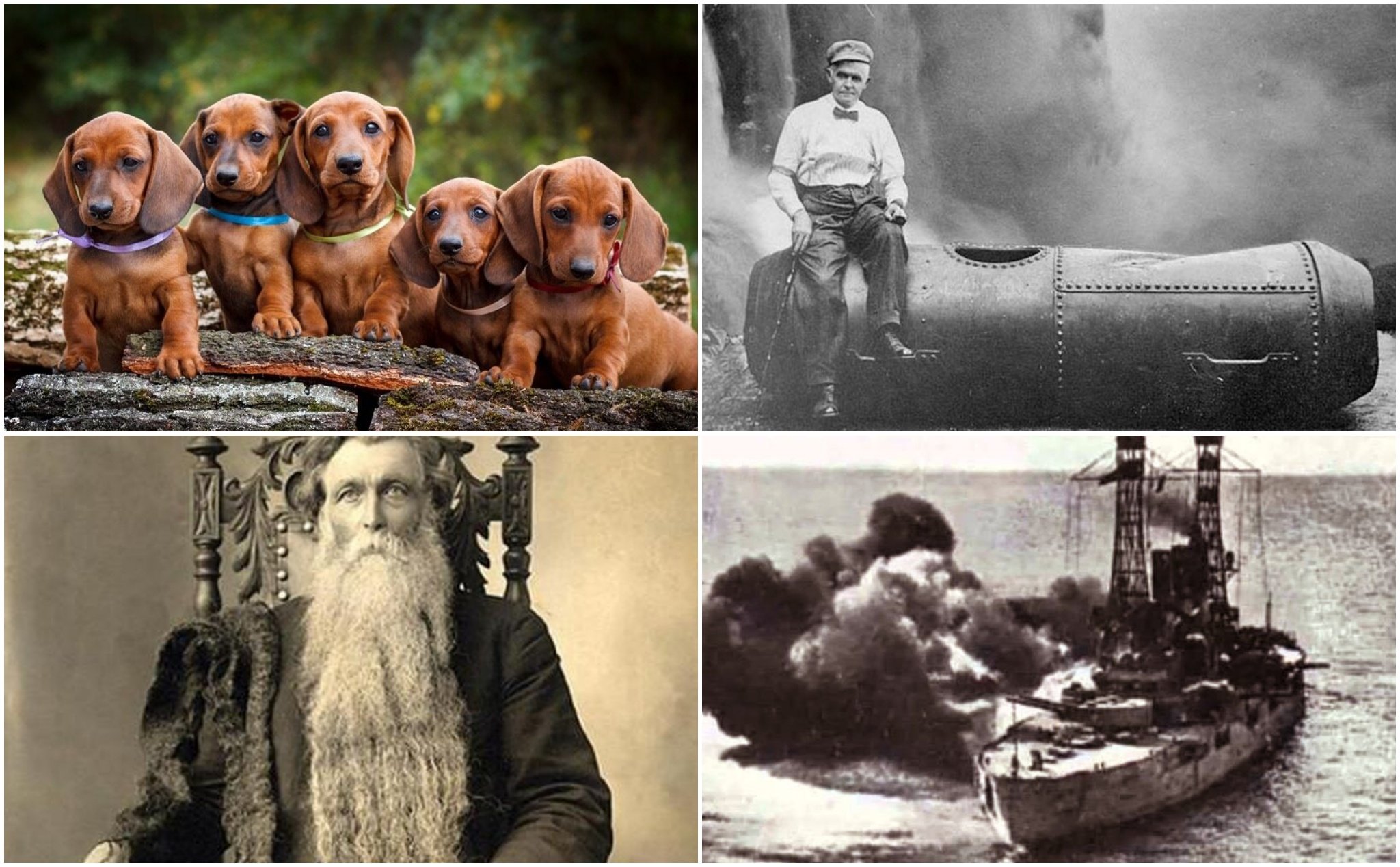 [WOW] Những cách kỳ lạ nhất để kết thúc cuộc sống (Phần 2) | Bởi ...