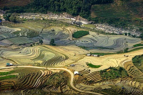 Khám phá vẻ đẹp của ruộng bậc thang Bát Xát trong mùa nước đổ - Mytour