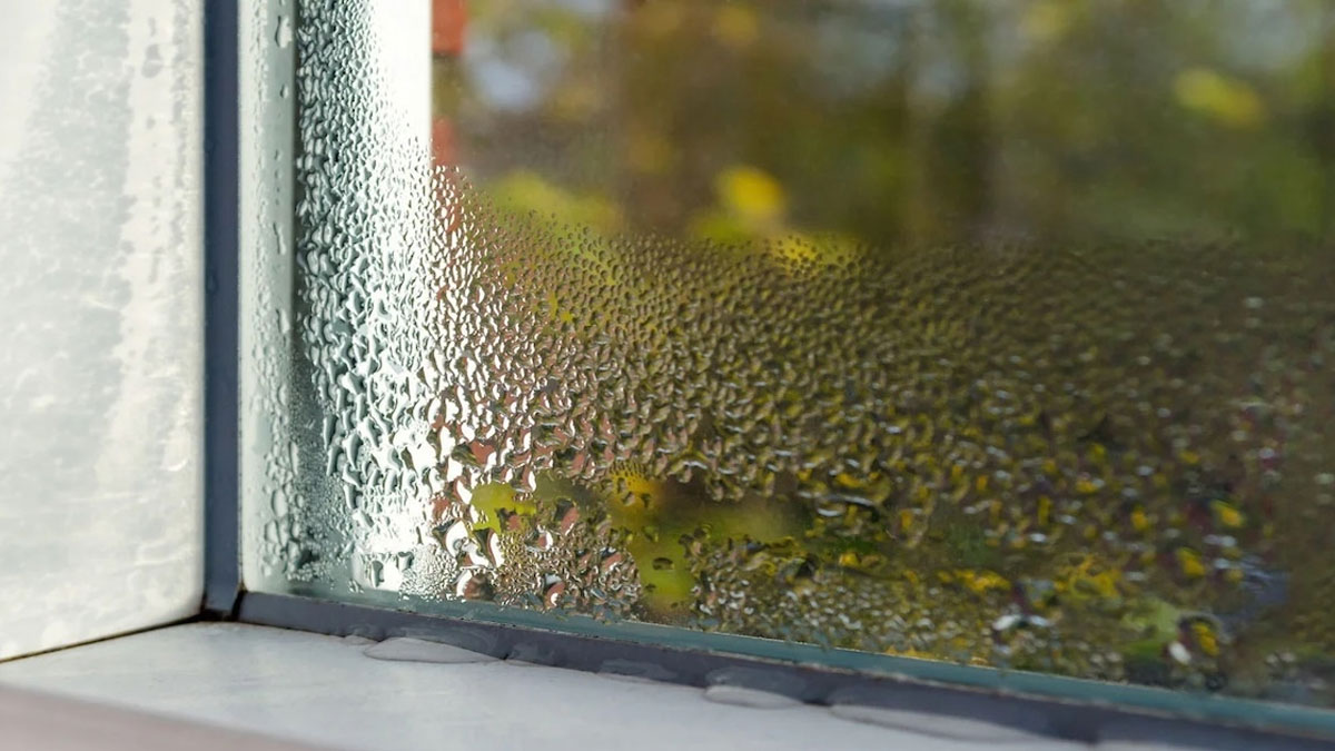Understanding Dampness: Causes and Remedies