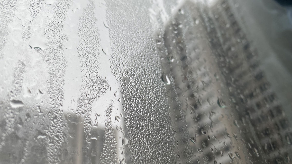 Understanding Dampness: Causes and Remedies