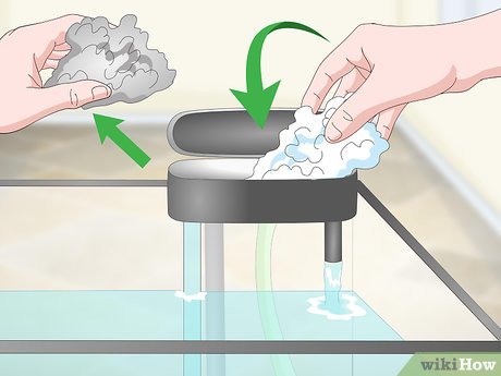 Easy Steps to Stop Mail Forwarding: 7 Simple Methods (with Images)