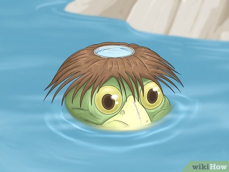 Kappa Nhật Bản: Huyền thoại về Yêu Tinh Nước Lừa Đảo