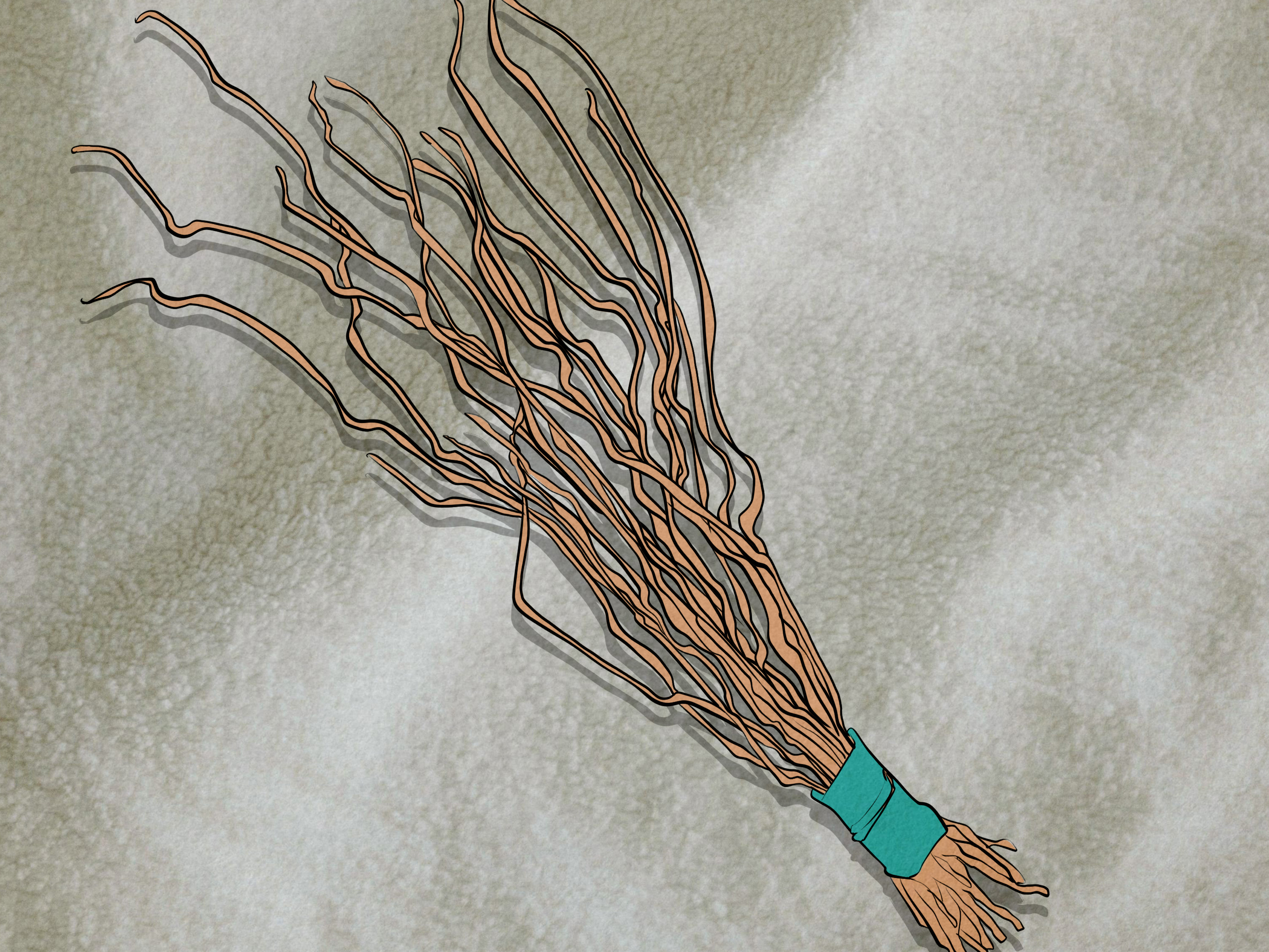 Understanding the Symbolism of Willow Trees: Spiritual Significance ...