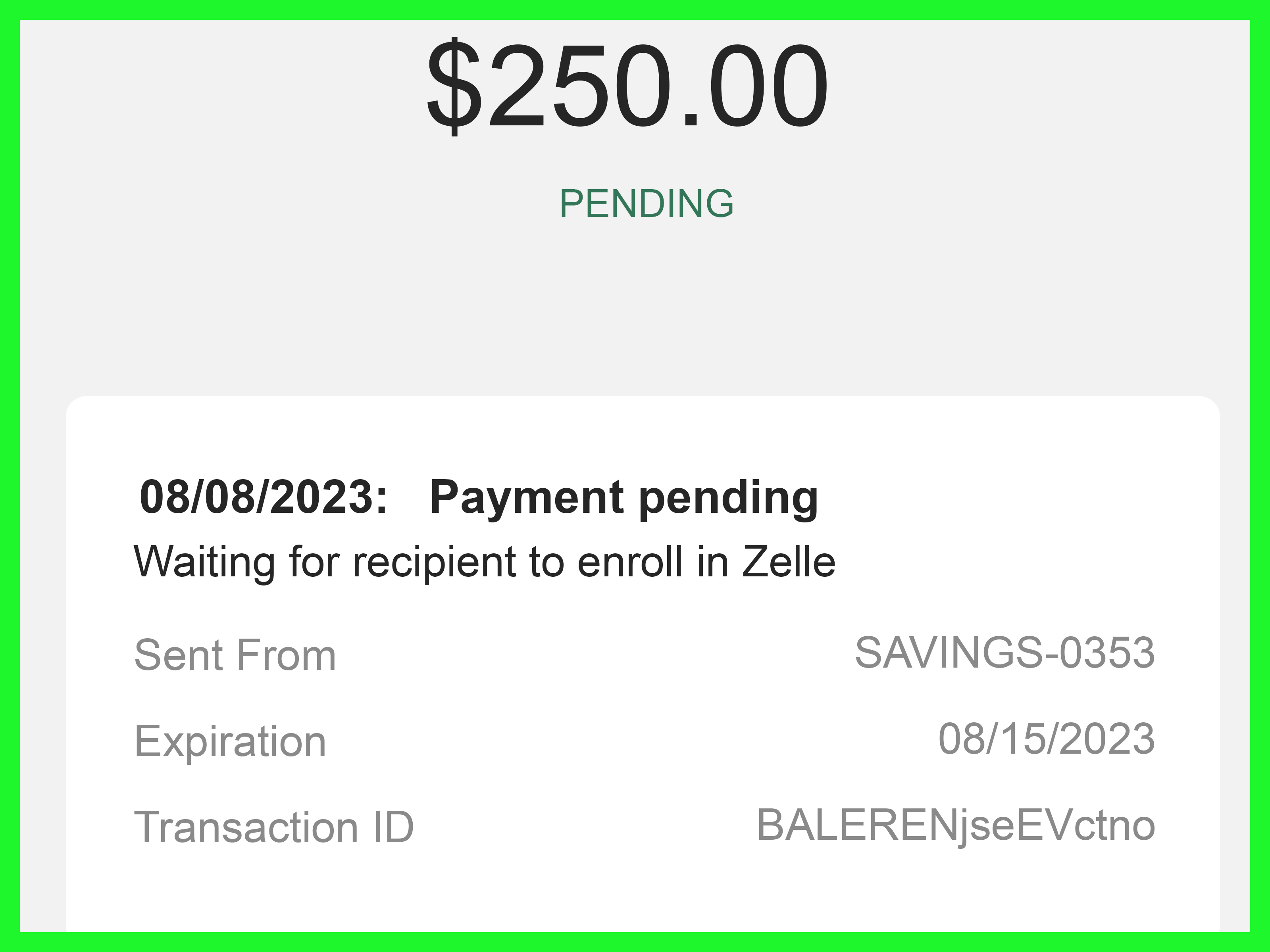 Troubleshooting Your Zelle Payment Delays & How to Address Them