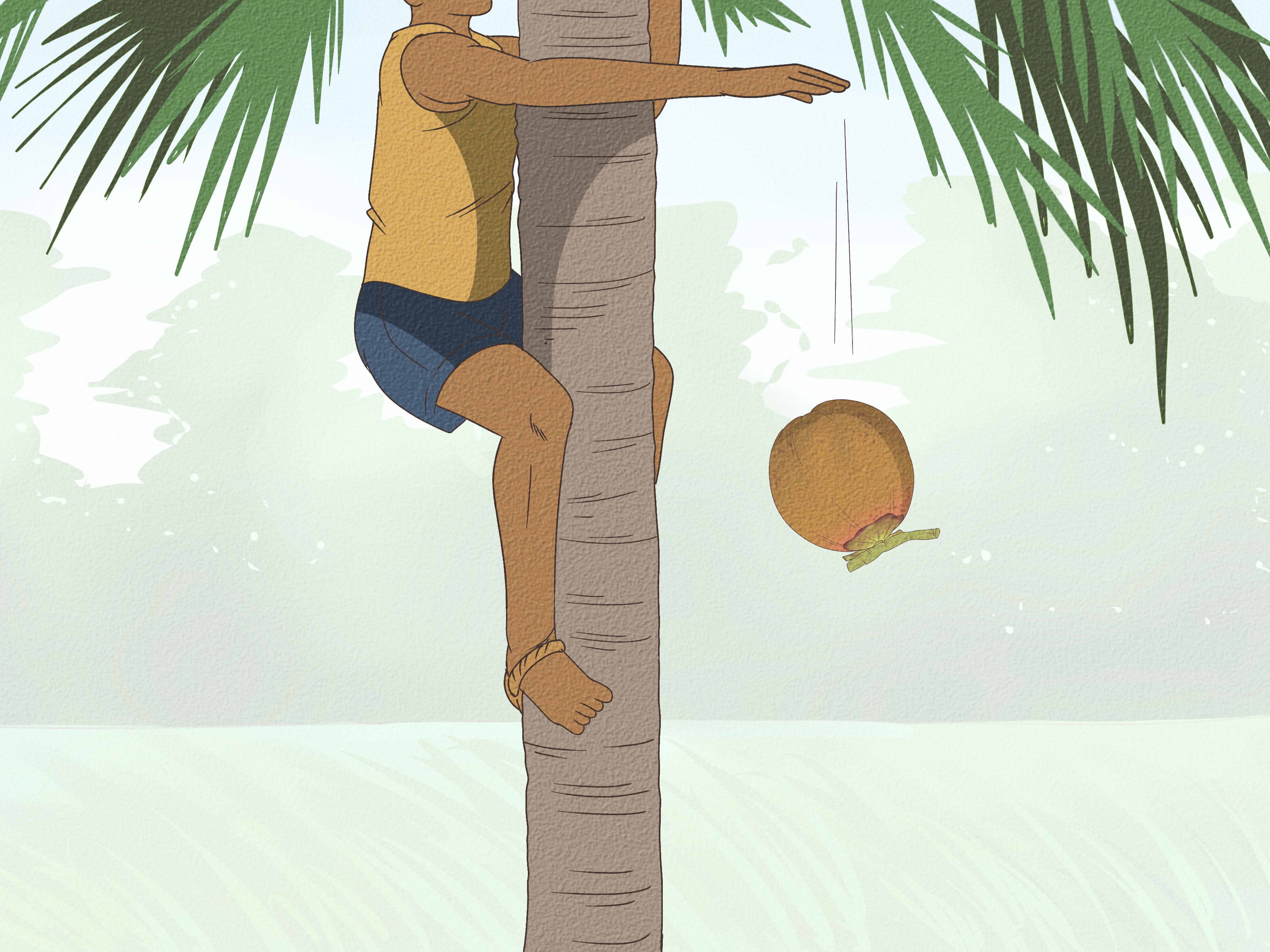 3 Methods for Gathering Coconuts - Mytour