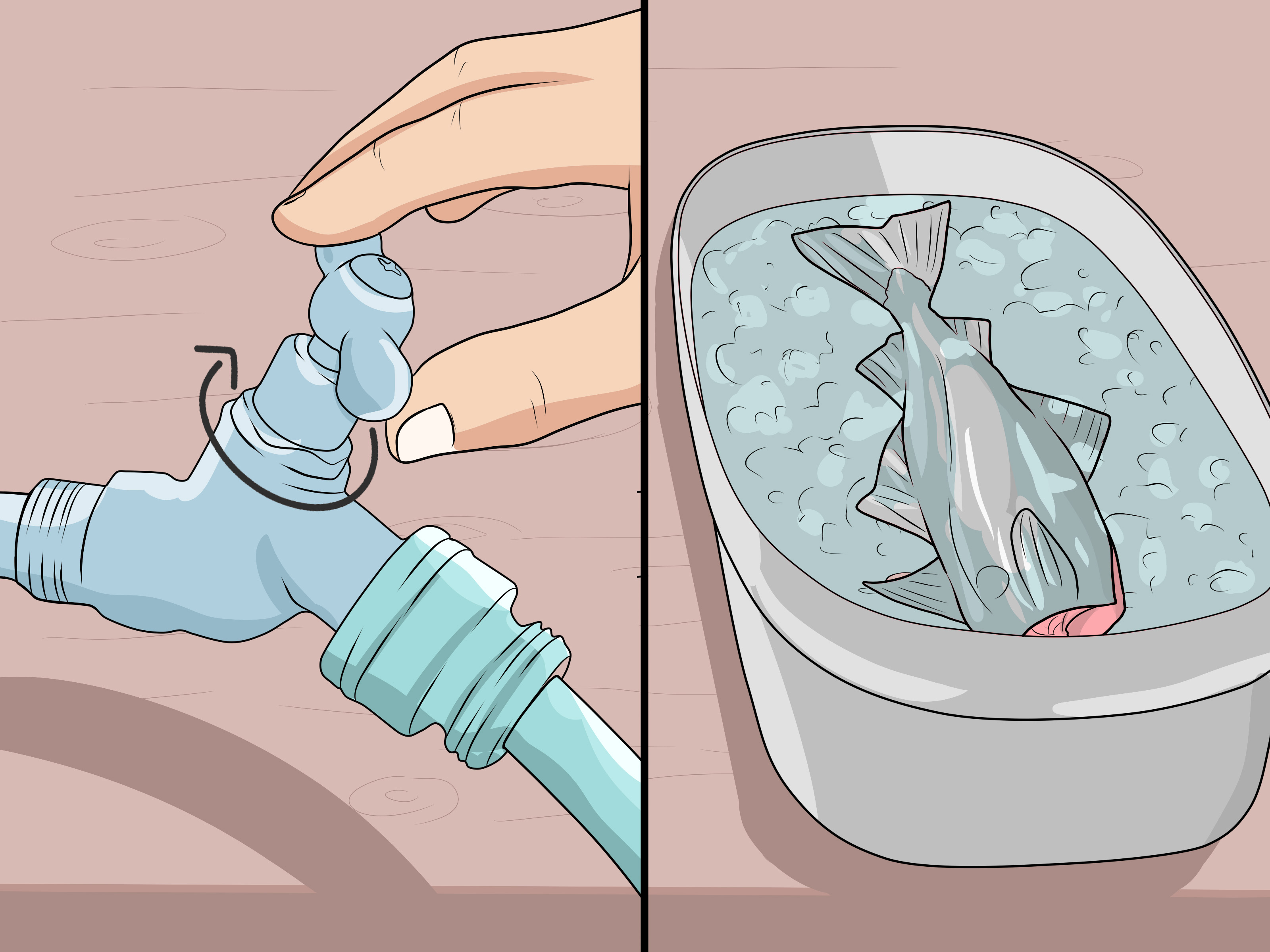 How to Extract Blood from a Fish: 10 Steps (Illustrated) - Mytour
