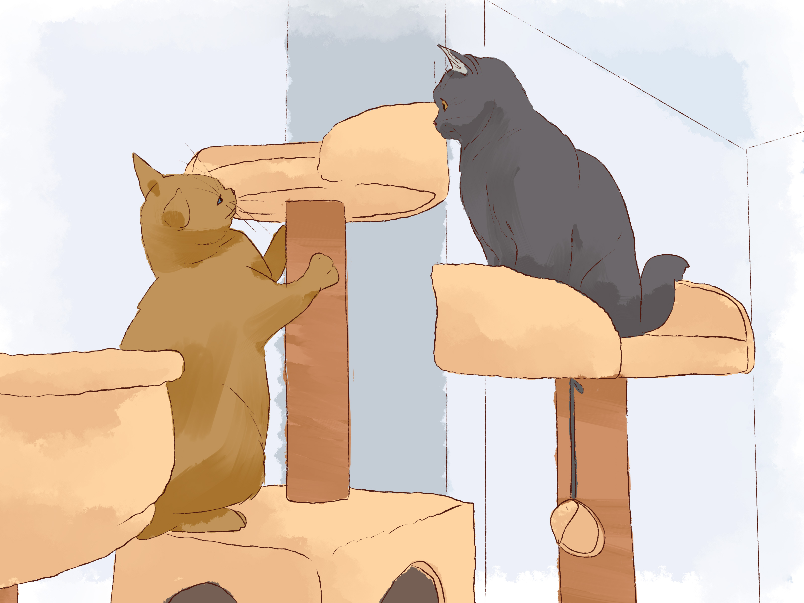 Reasons Behind Excessive Cat Fur Licking and Ways to Halt It
