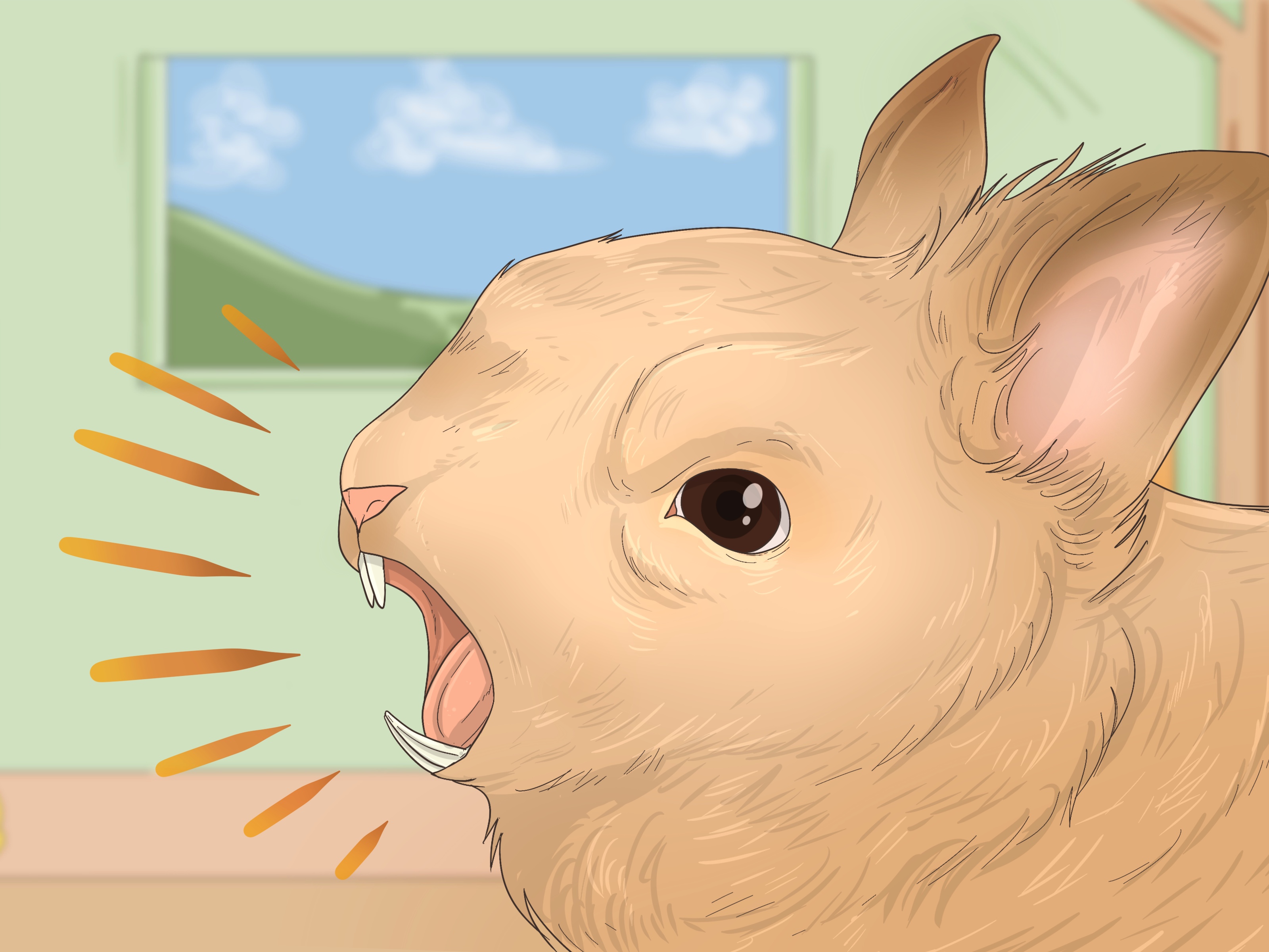 Understanding Bunny Communication Through Body Language (with ...