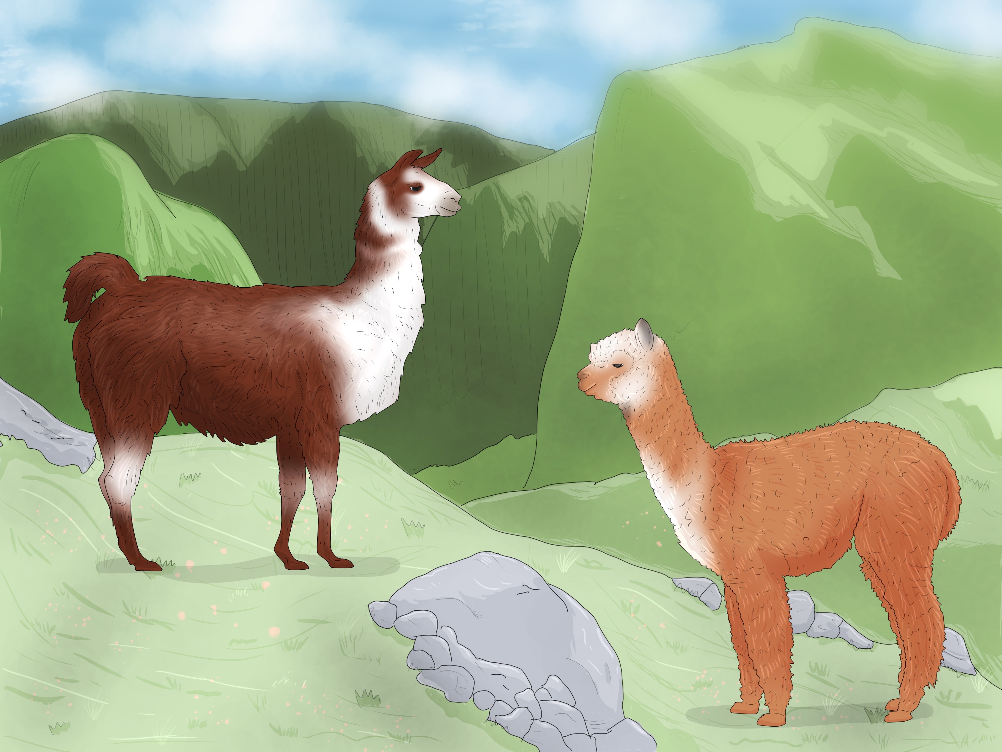 Llama vs. Alpaca: Understanding the 6 Key Differences