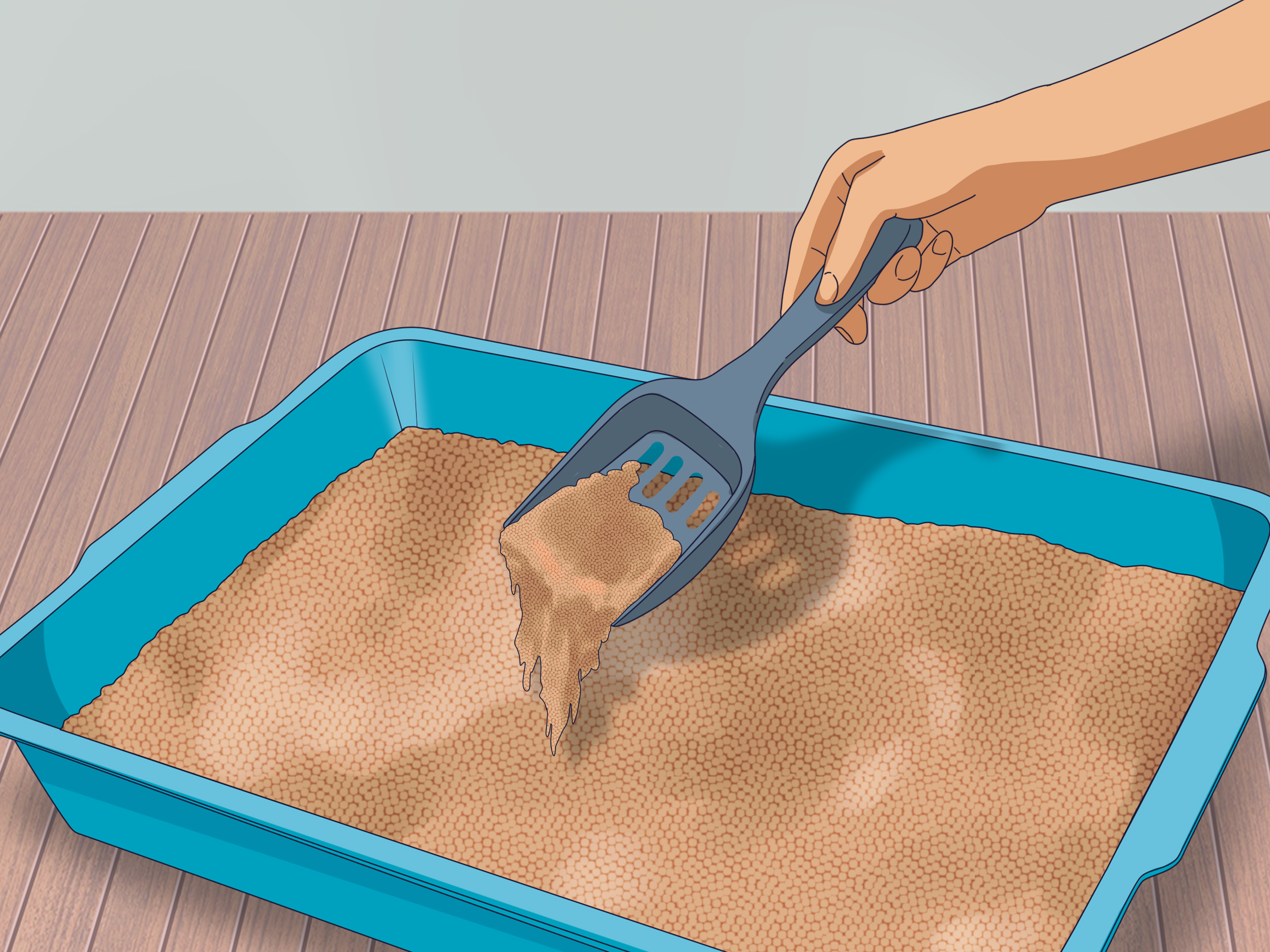 Mastering Ferret Potty Training: 13 Expert Tips