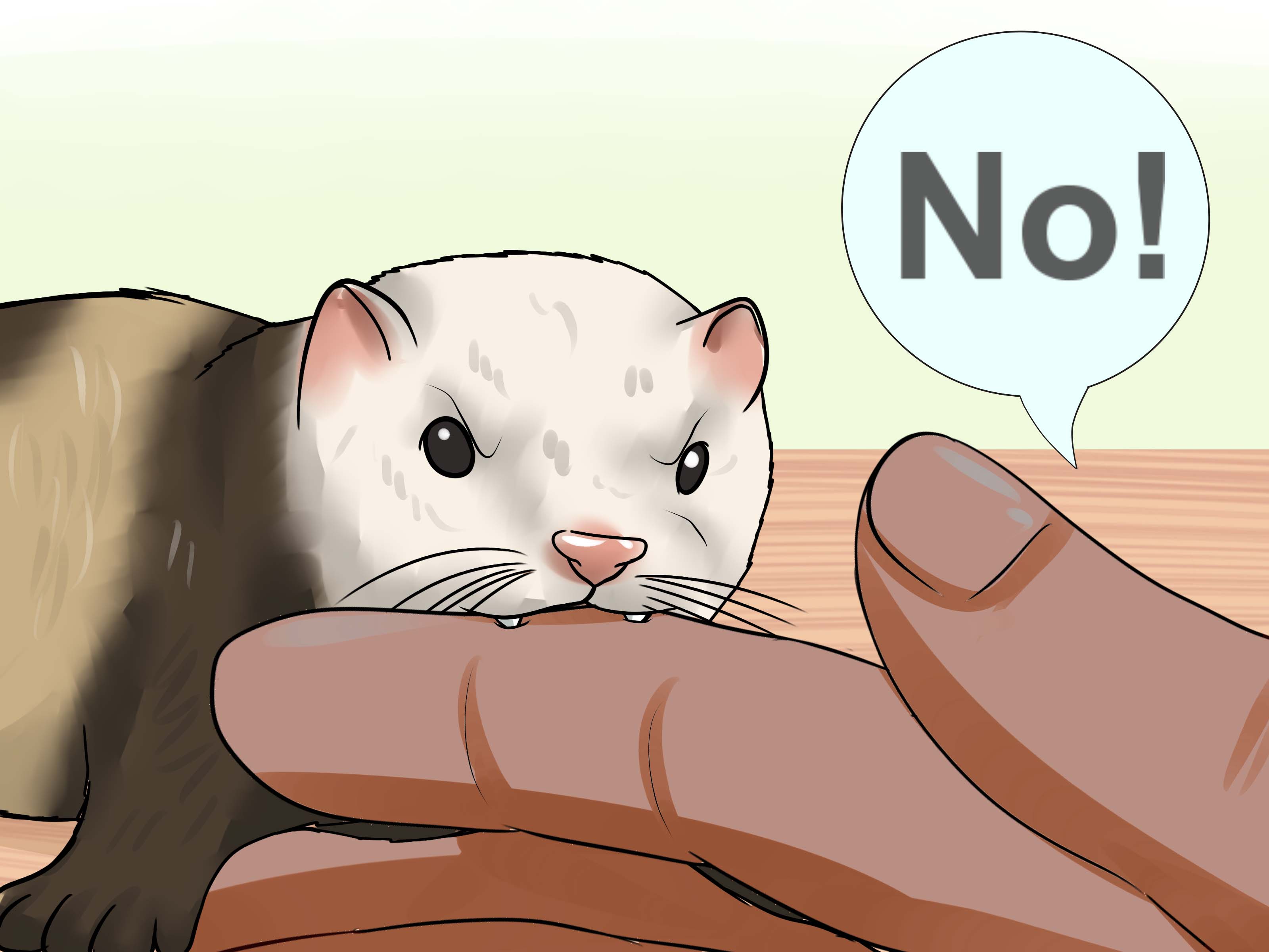 Guide: How to Breed Ferrets (with Step-by-Step Pictures) - Mytour