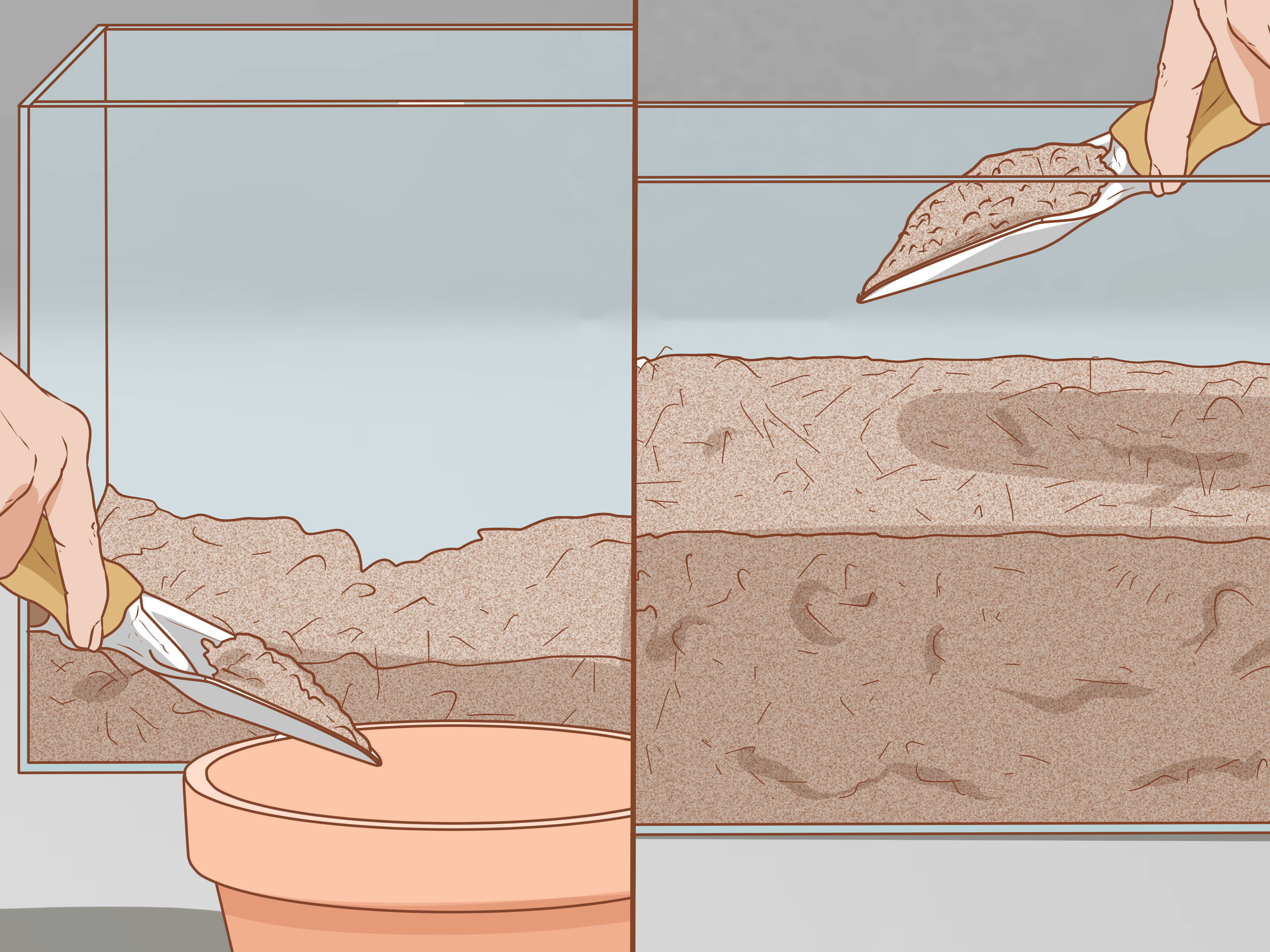 Creating a Natural Habitat for Pet Snails: A 12-Step Guide