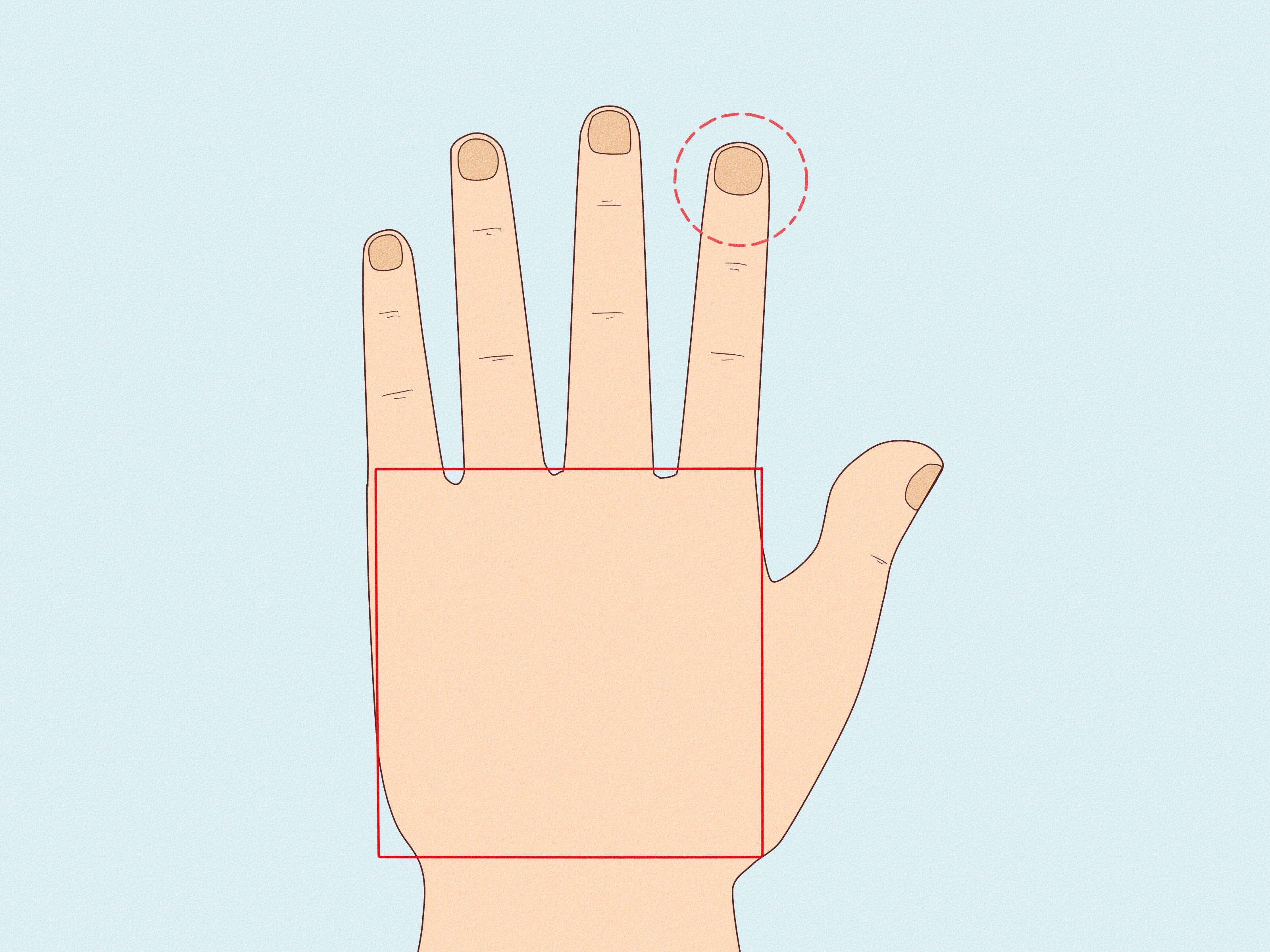 Varieties of Elemental Hands in Palmistry: Form & Personality Traits