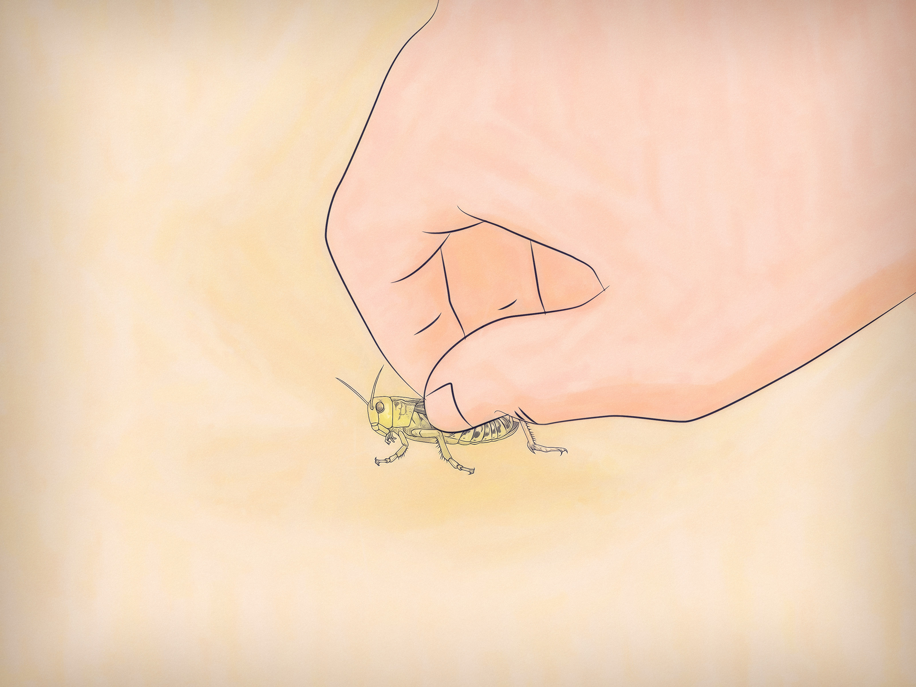 How to Care for a Grasshopper: 12 Simple Steps (with Images) - Mytour