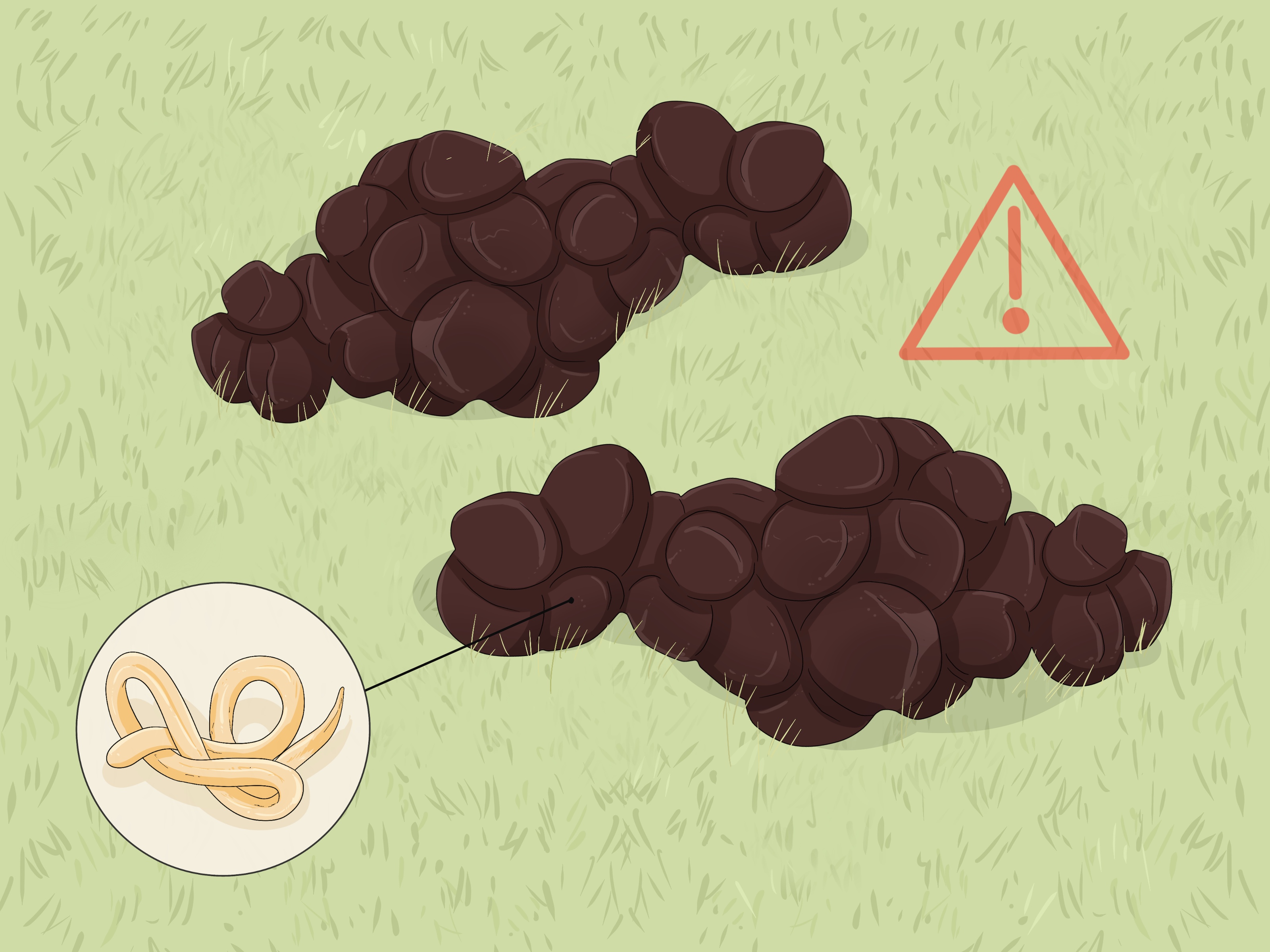 How to Properly Take Care of Sheep: A Comprehensive Guide - Mytour