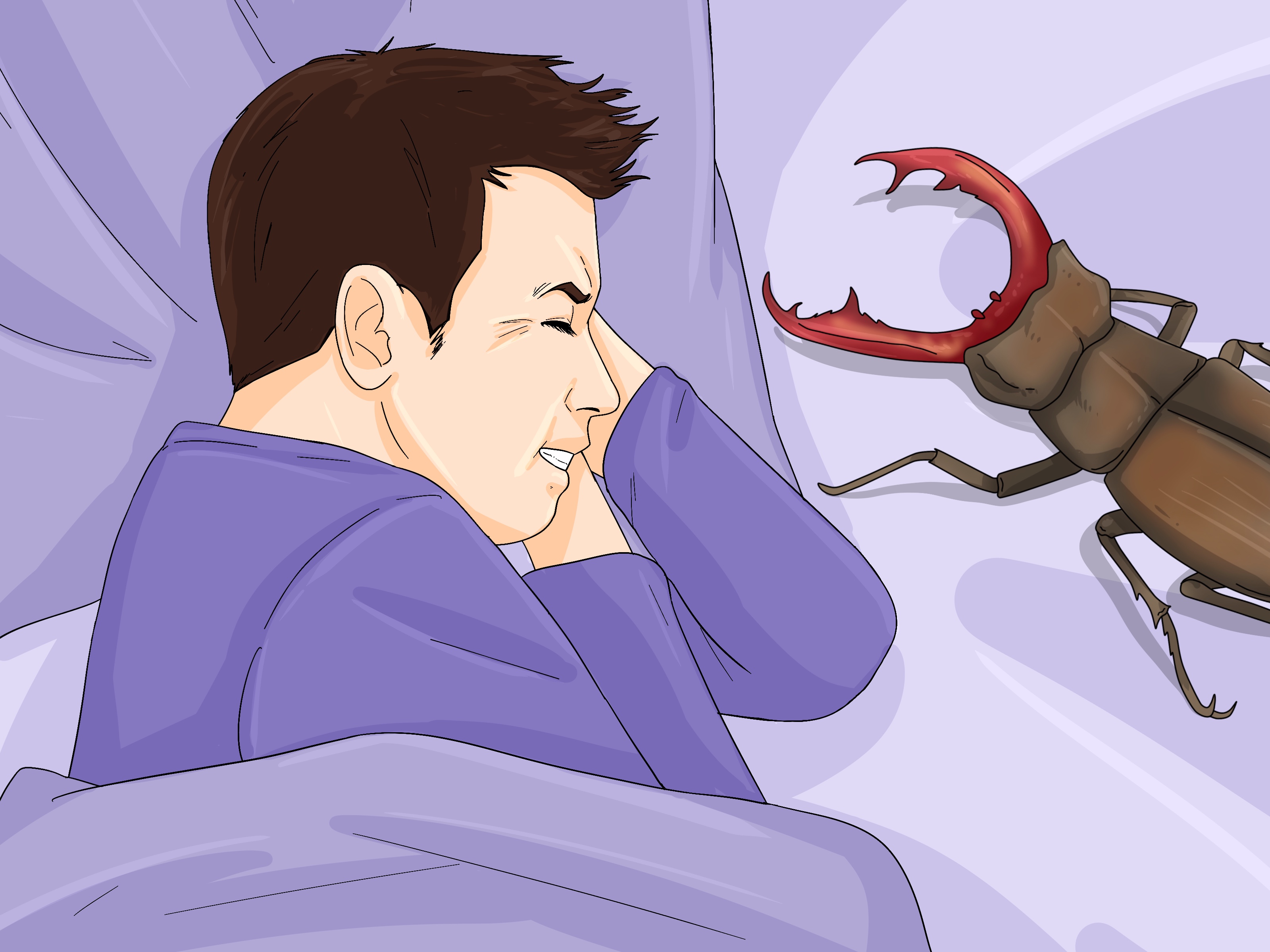 Unlocking the Spiritual Symbolism of Beetles: Interpretations, Dreams ...