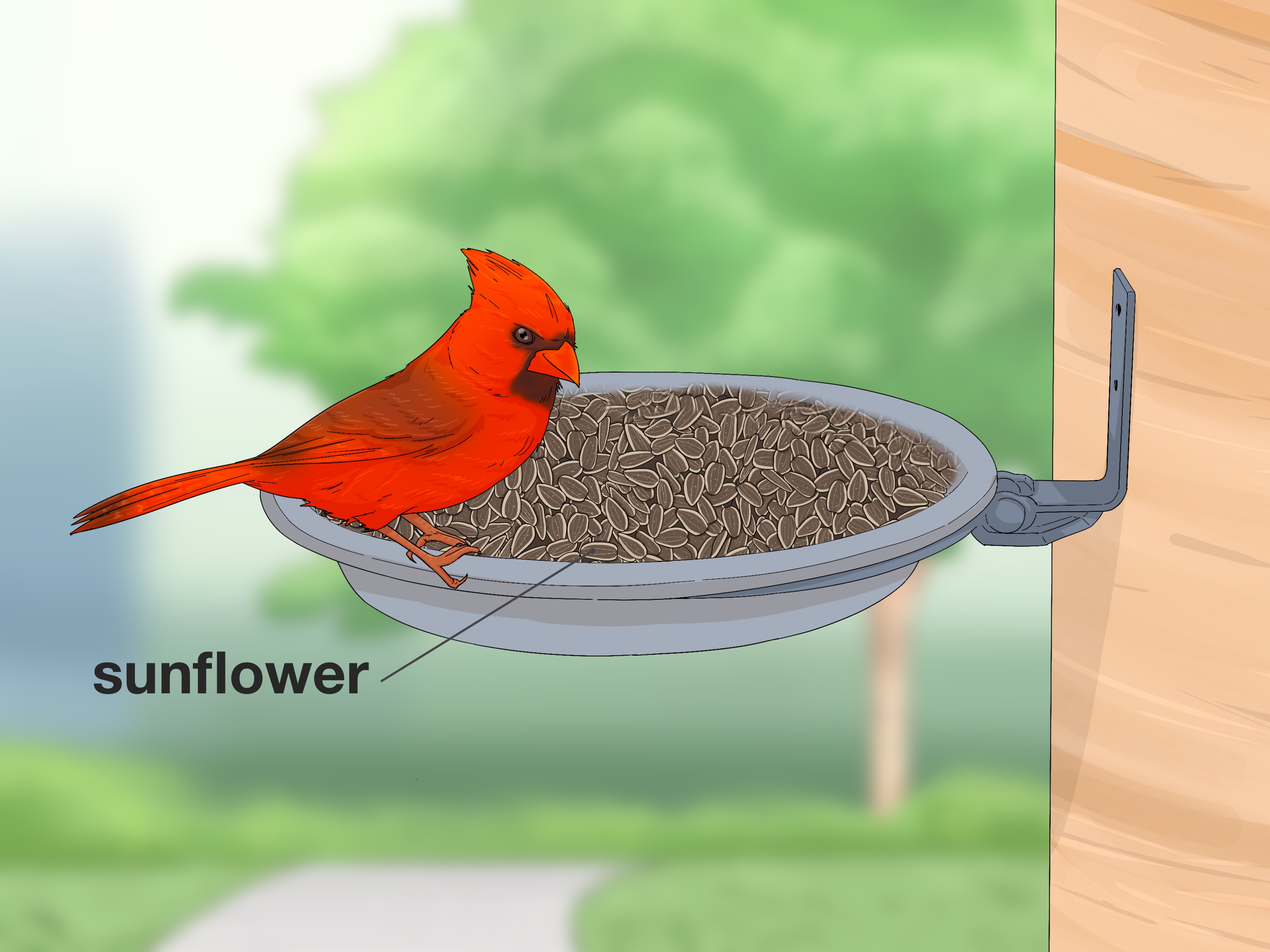 Reasons Behind Cardinals Representing Departed Loved Ones