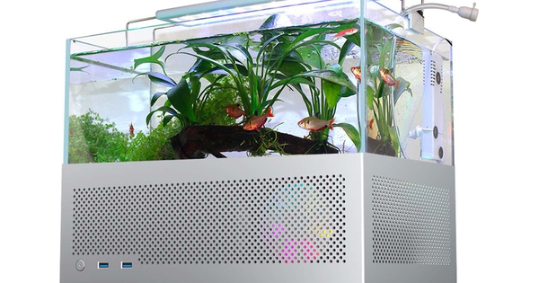 Cơ hội nào dành cho Wuling HongGuang MiniEV, chiếc xe giá rẻ hơn hẳn các dòng xe hạng A khác tại ...