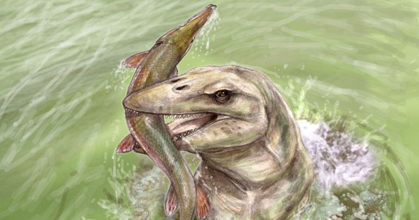 Pannoniasaurus: Quái vật dài 6 mét sống trong môi trường nước ngọt của ...