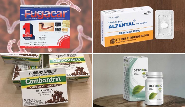Top 5 loại thuốc tẩy giun hàng đầu và cách sử dụng hiệu quả