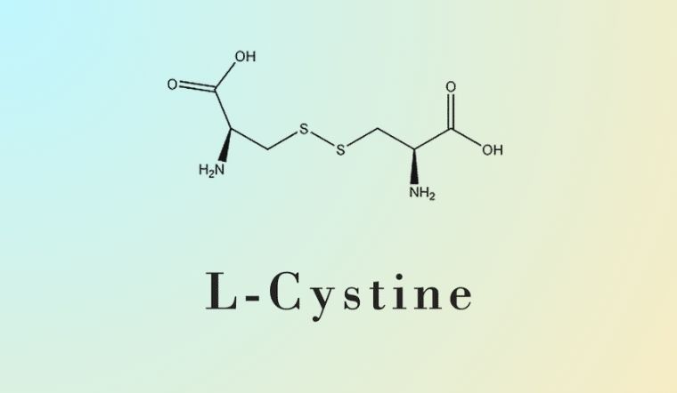 L-Cystine ảnh hưởng thế nào đến làn da? Cách thức cung cấp L-Cystine ...