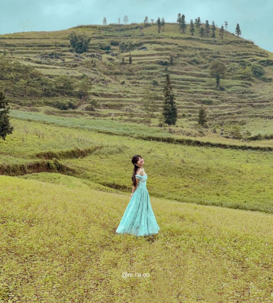 Tiệc thưởng thức hương vị tại Nhà Hàng Taiyo Hạ Long trong khuôn viên Sun World đầy sôi động