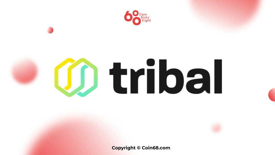 Xem xét dự án Tribal (đồng TRBL) - Chi tiết và đánh giá tổng quan về dự án