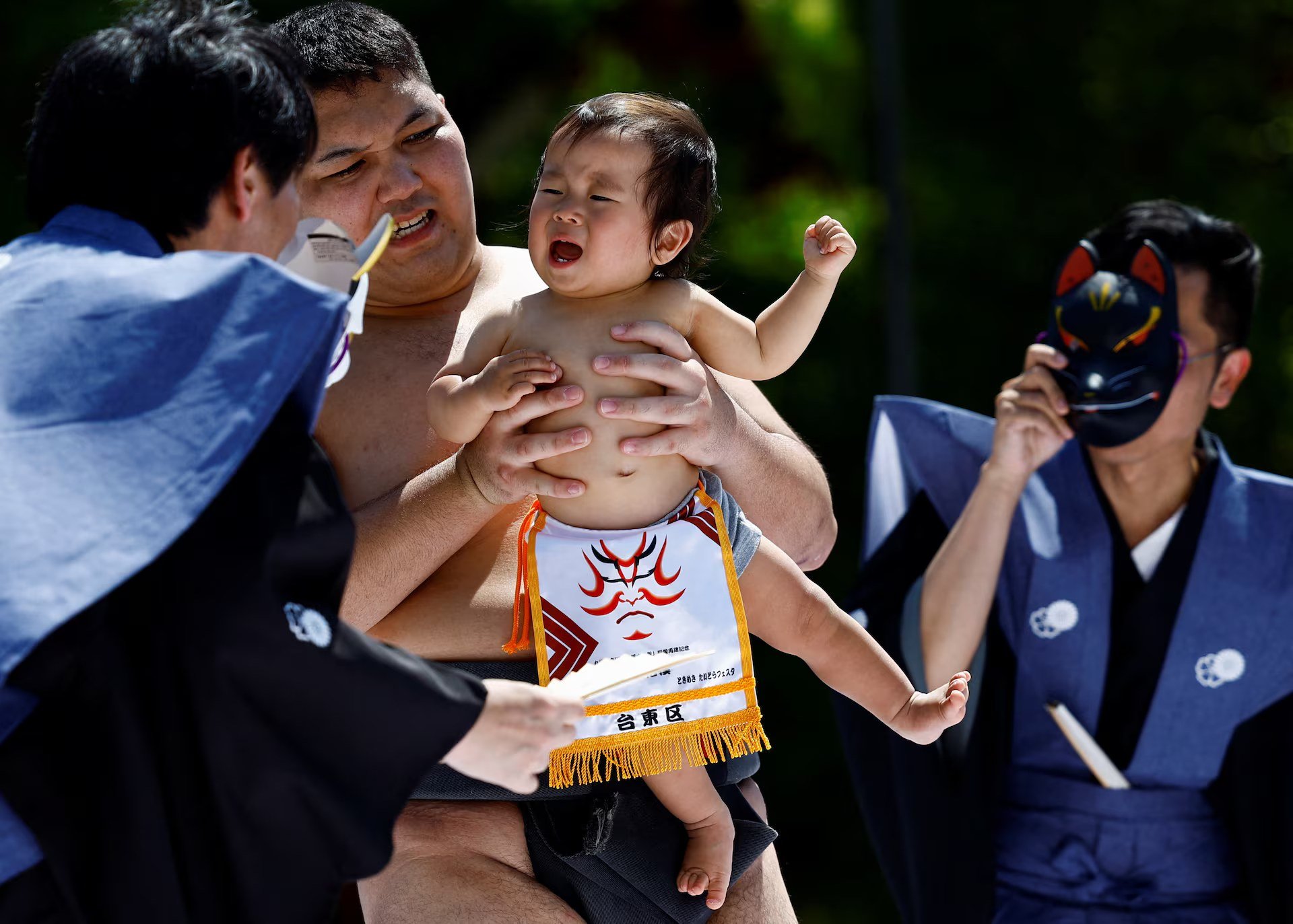 Hình ảnh: Lễ hội 100 đứa trẻ 'Sumo khóc nhè' tại Nhật Bản