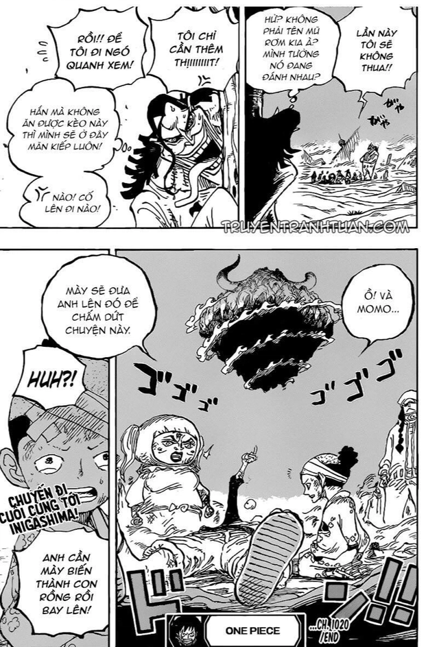 Phân tích các chi tiết đặc biệt trong One Piece 1010: Zoro có sở hữu ...