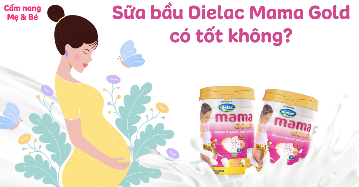 Sữa bầu Dielac Mama Gold có tốt không? Có bao nhiêu loại? Có giúp tăng ...