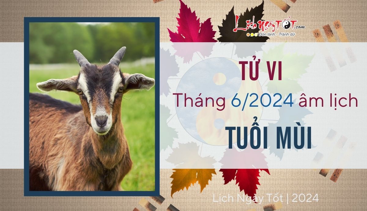 Tử vi tháng 6/2024 cho tuổi Mùi âm lịch: Áp lực ngày càng gia tăng
